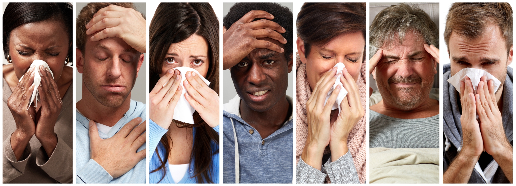 Cold, Flu, or Allergies? | Family Allergy and Asthma